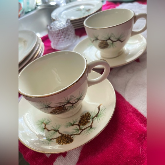 Nautilus | Dining | Nautilus Teacups Saucer Set Of 2 Pine Cone Pattern ...